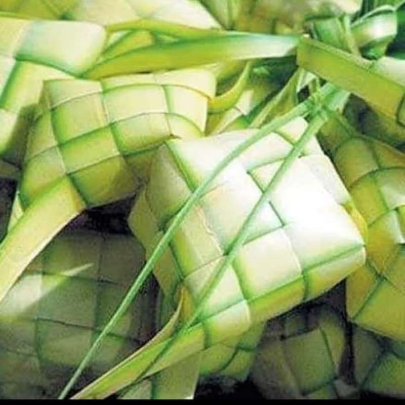 Promo Kulit Ketupat Daun Janur Kulit Ketupat Lebaran Diskon 40 Di