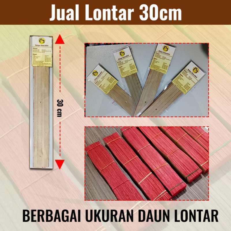 Jual Belajar Bahasabali Terbaru Juni 2024 100% Original – Official ...