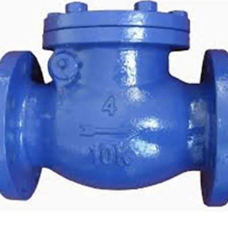 Promo Swing Check Valve 4 inch / DN100 JIS 10K ; Cast Iron Diskon 23% ...