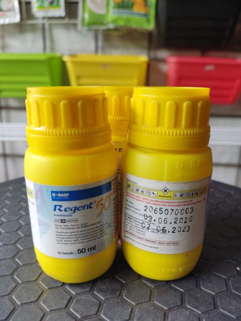 Promo regent 50 sc insektisida racun semut rayap ulat 50 ml Diskon 27% ...