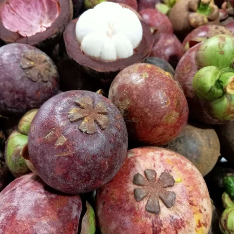 Promo Buah Manggis 1kg Diskon 23% Di Seller Faika - Cengkareng Barat ...