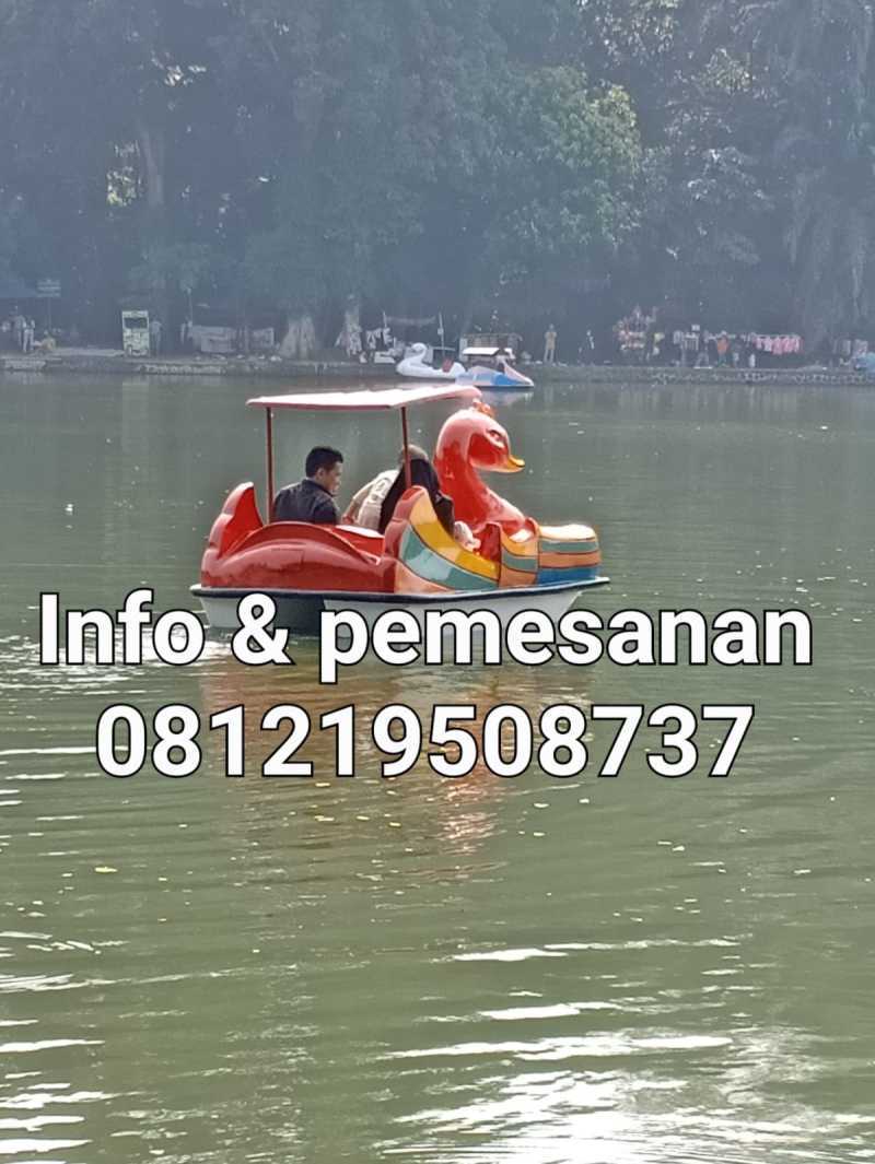 Jual Tersedia Sepeda air bebekan warna merah angsa perahu angsa kaps 2 ...
