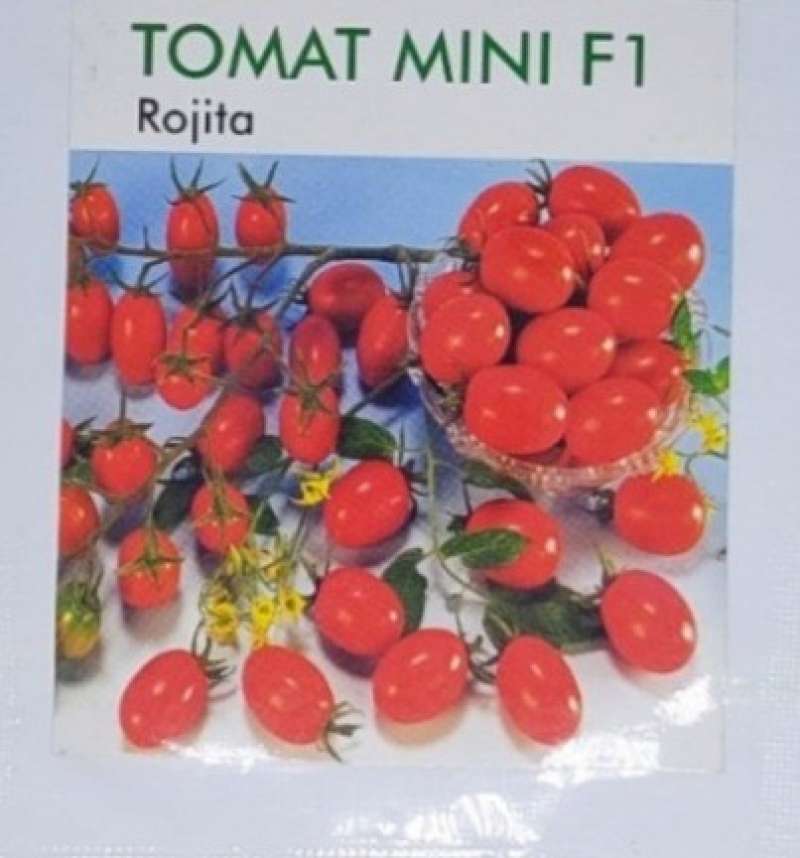 Jual Bibit Pohon Tomat Cherry Original Murah - Harga Diskon Mei 2024 | Blibli.com