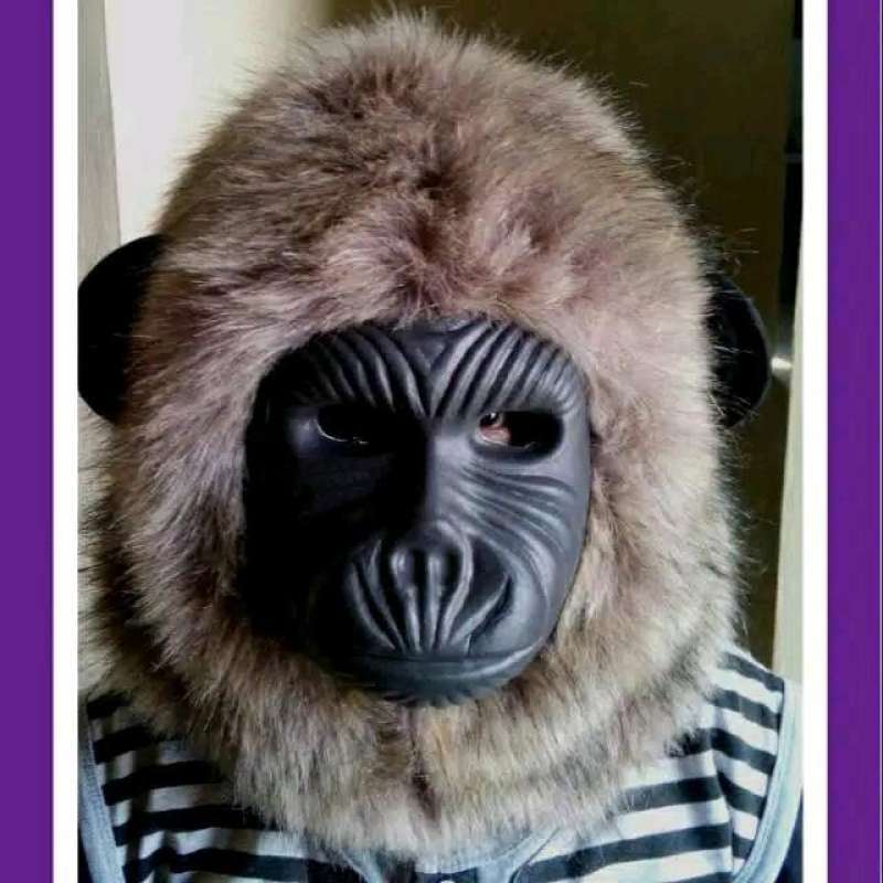Jual Topeng Monyet Karakter Lucu Bagus Anak di Seller Yosse cinderamata ...
