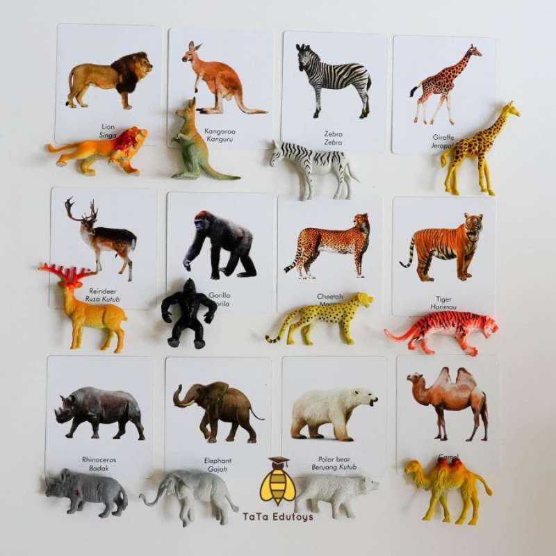 Jual Montessori Flashcards + Wild Animal Figurine | Tata Edutoys Di ...