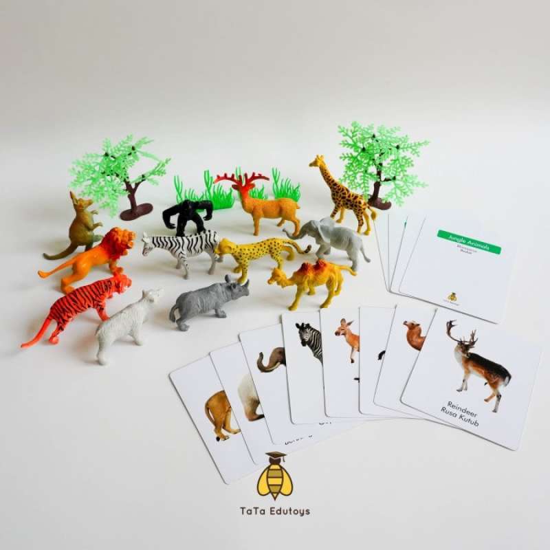 Jual Montessori Flashcards + Wild Animal Figurine | Tata Edutoys Di ...