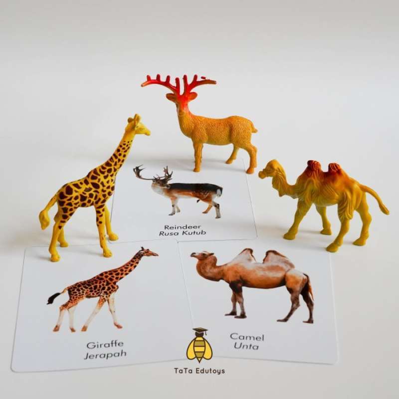 Jual Montessori Flashcards + Wild Animal Figurine | Tata Edutoys Di ...
