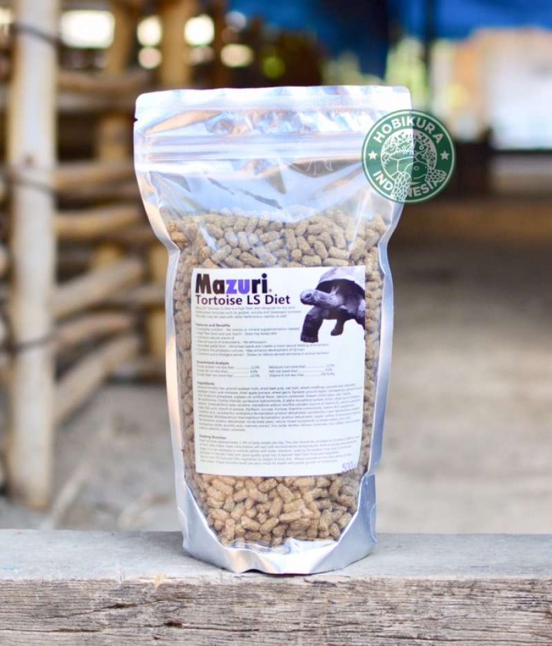 Promo C Ramosus Cangkang Shell Kelomang Keong Umang Hermit Crab Natural ...