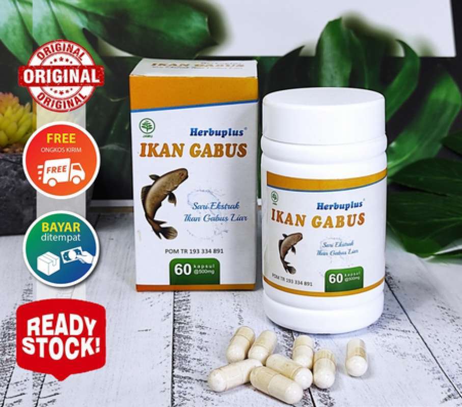 Jual Herbuplus Kapsul Ekstrak Ikan Gabus Kutuk Isi 60 Obat Pasca Operasi Di Seller Vitamin ...