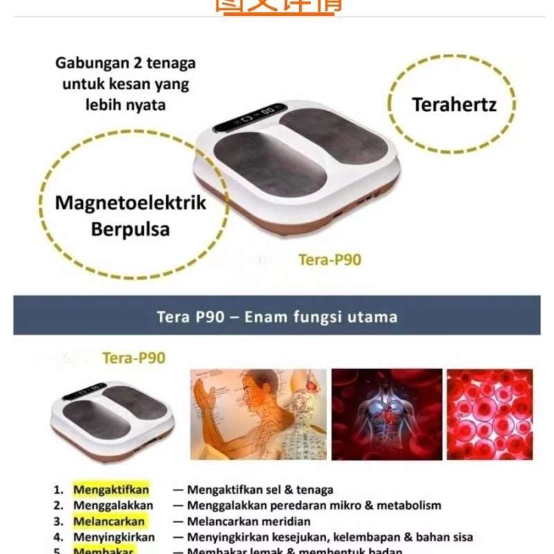 Jual Pemf Pulsed Electromagnetic Field Therapy Olylife P-90 Di Seller ...