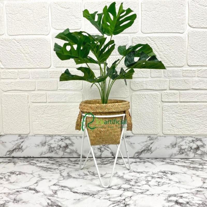Promo Pohon Daun Monstera X12 Semi Latex Cover Pot Dasar Purun Standing ...