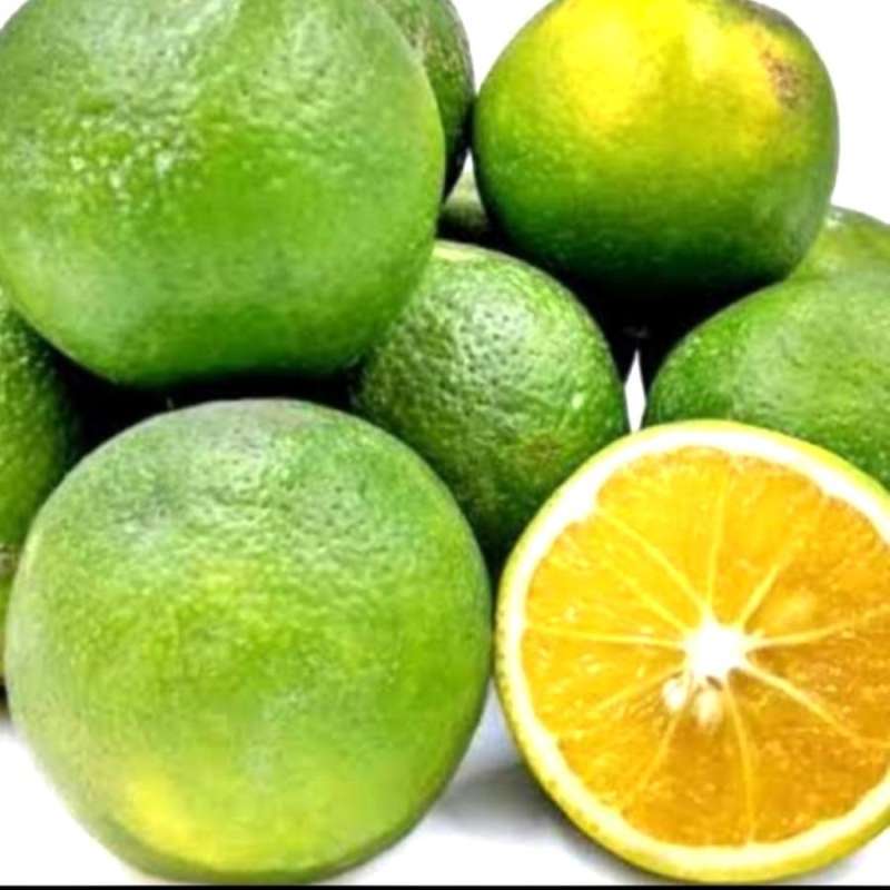 Jual Jeruk Bali Semarang Termurah - Harga Grosir Terupdate Hari Ini ...