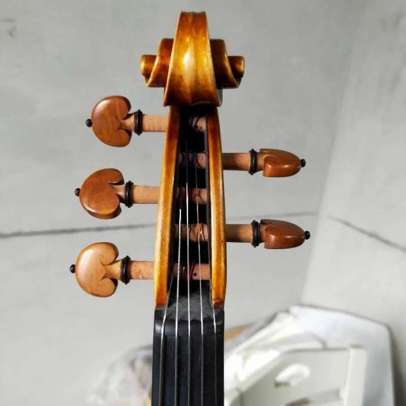 Jual Biola Senar 5 Atau 5 String Violin Di Seller Rukia - Cengkareng ...
