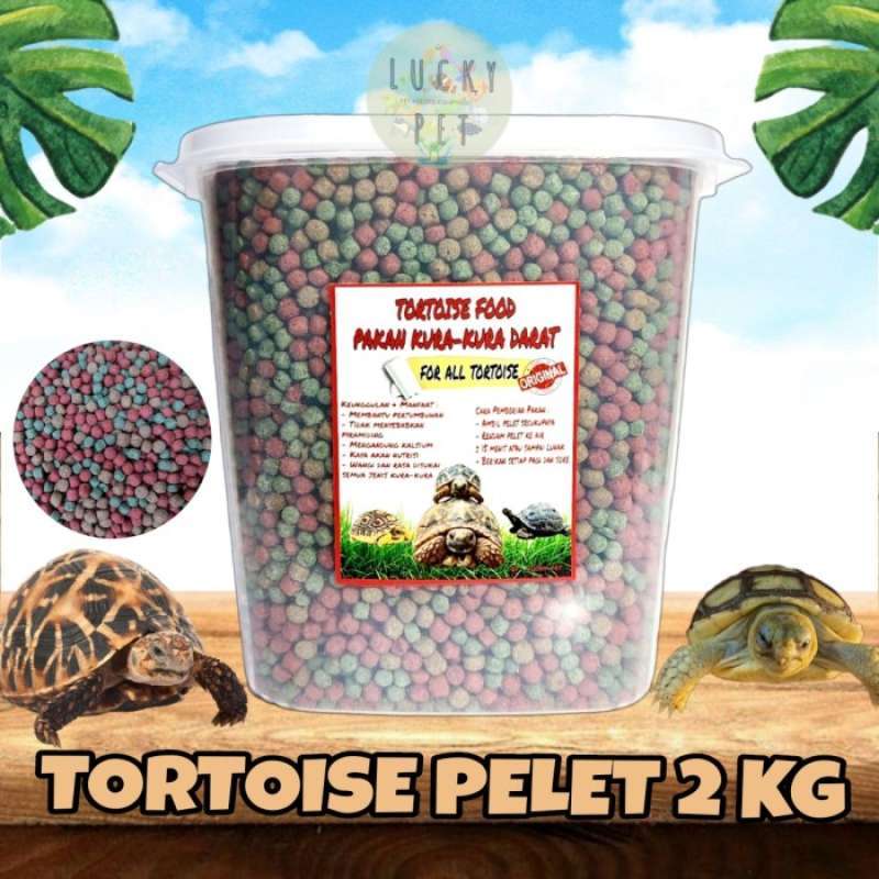 Promo 2 Kg Makanan Kura Kura Darat Sulcata Sulkata Pelet Torto Tortoise ...