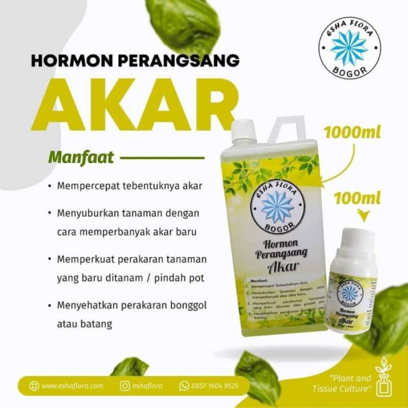 Promo Hormon Akar 1 L (khusus Pulau Jawa) Diskon 33% Di Seller Virgo ...