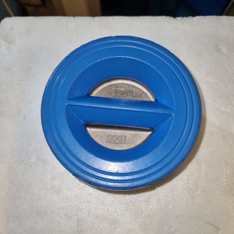 Promo Wafer Check Valve 2 Inch Dn 50 Wcb Class 150 Diskon 23% Di Seller ...