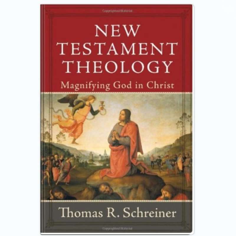 Promo New Testament Theology: Magnifying God In Christ - Thomas R ...