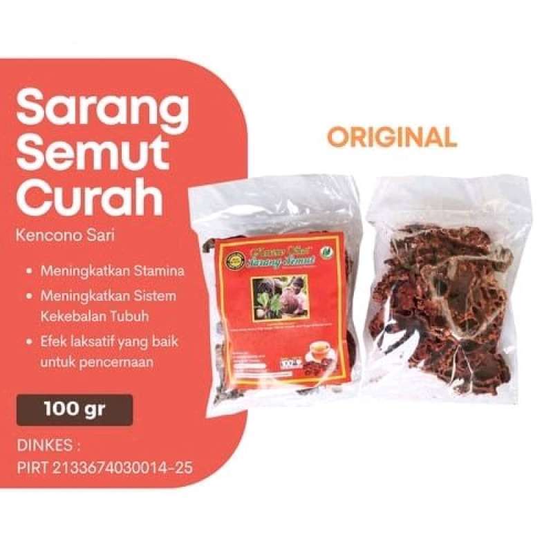 Jual Sarang Semut Rebus 🏷️ 100% Original, Harga & Kualitas Terbaik ...