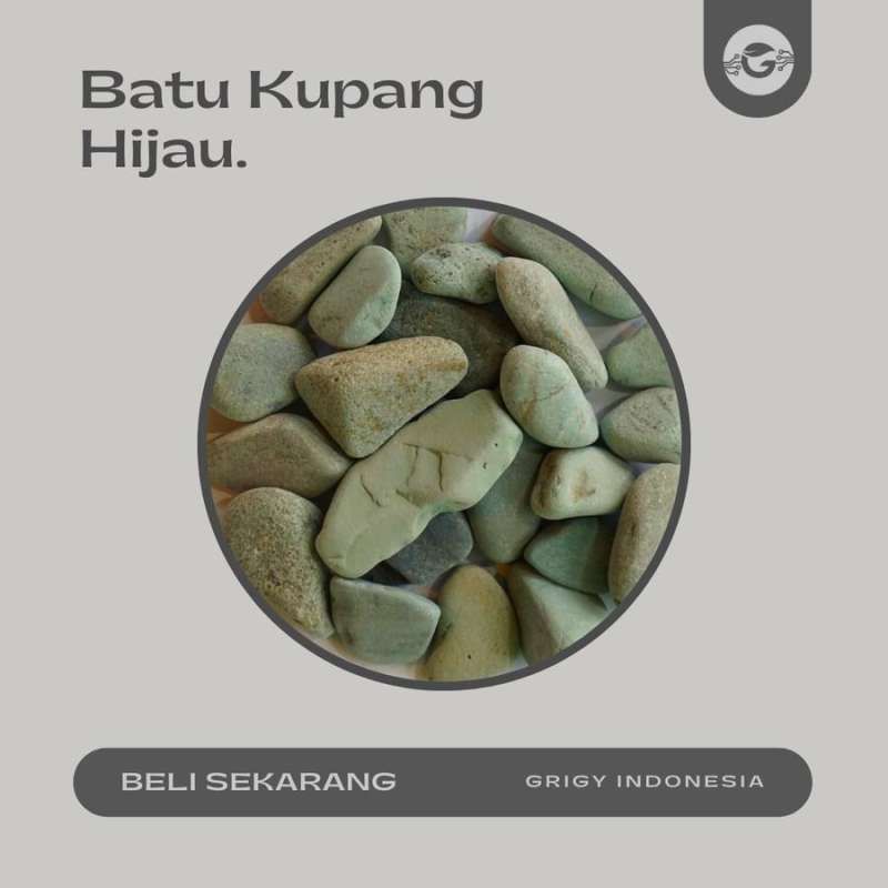 Jual Batu Koral Kupang Original Murah - Harga Diskon Mei 2024 | Blibli.com