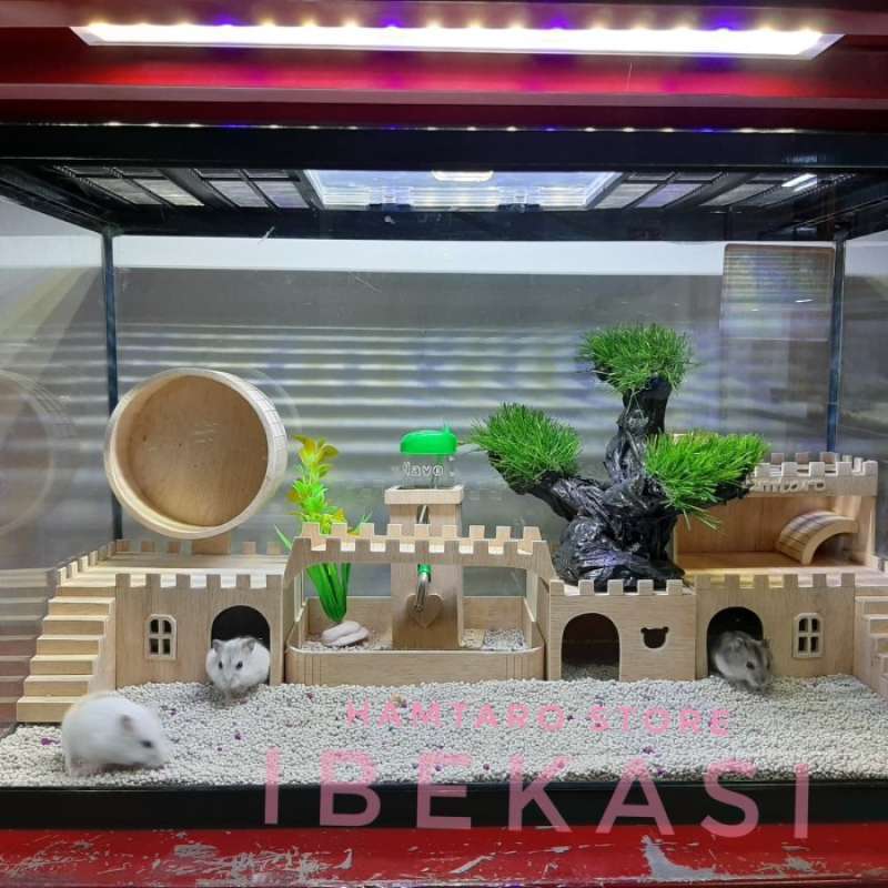 Promo Rumah hamster Istana kandang hamster ukuran super besar fullset Diskon 23% di Seller Haura ...