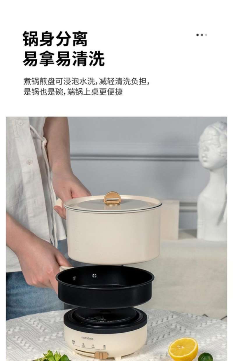 Jual Nordic Split Pot Travel Electric Cooker Electric Hot Pot Di Seller ...