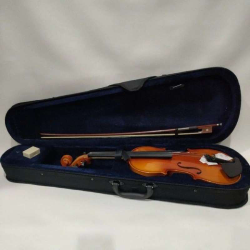Jual Stainer Violin Outfit Svg-001-db 4/4 (biola Stainer) Di Seller ...