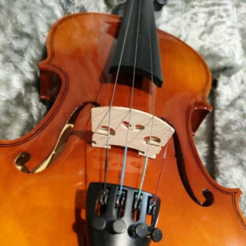 Jual Stainer Violin Outfit Svg-001-db 4/4 (biola Stainer) Di Seller ...