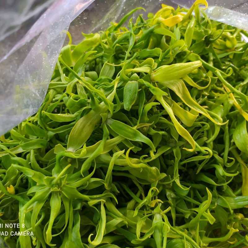 Jual Bunga Kenanga Wangi | Mawsr Tabur | Bunga Segar Di Seller Aurel ...