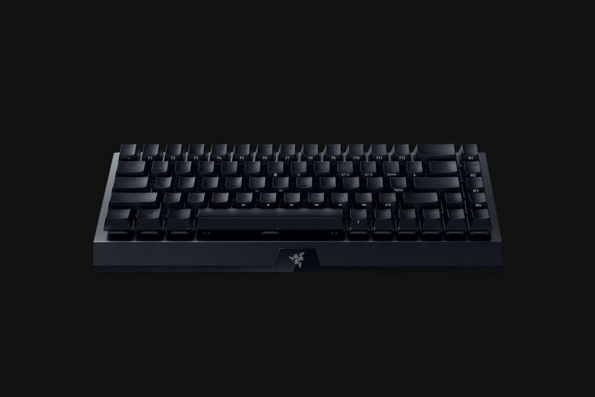 Jual Razer Keyboard Blackwidow V3 Mini - Green Di Seller Freestyle ...