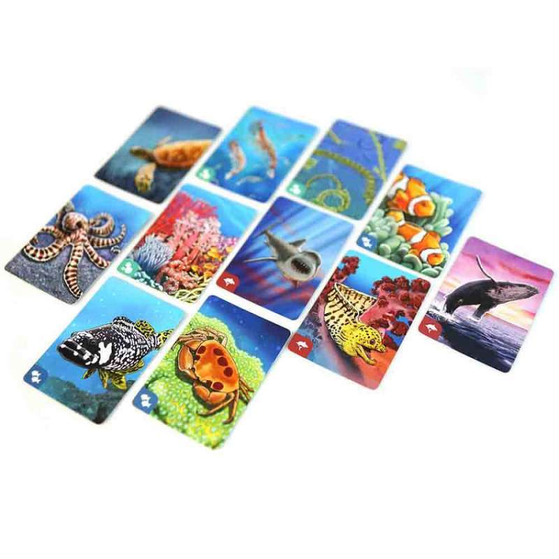 Promo Ecosystem Coral Reef Board Game Diskon 2% Di Seller Monopolis ...