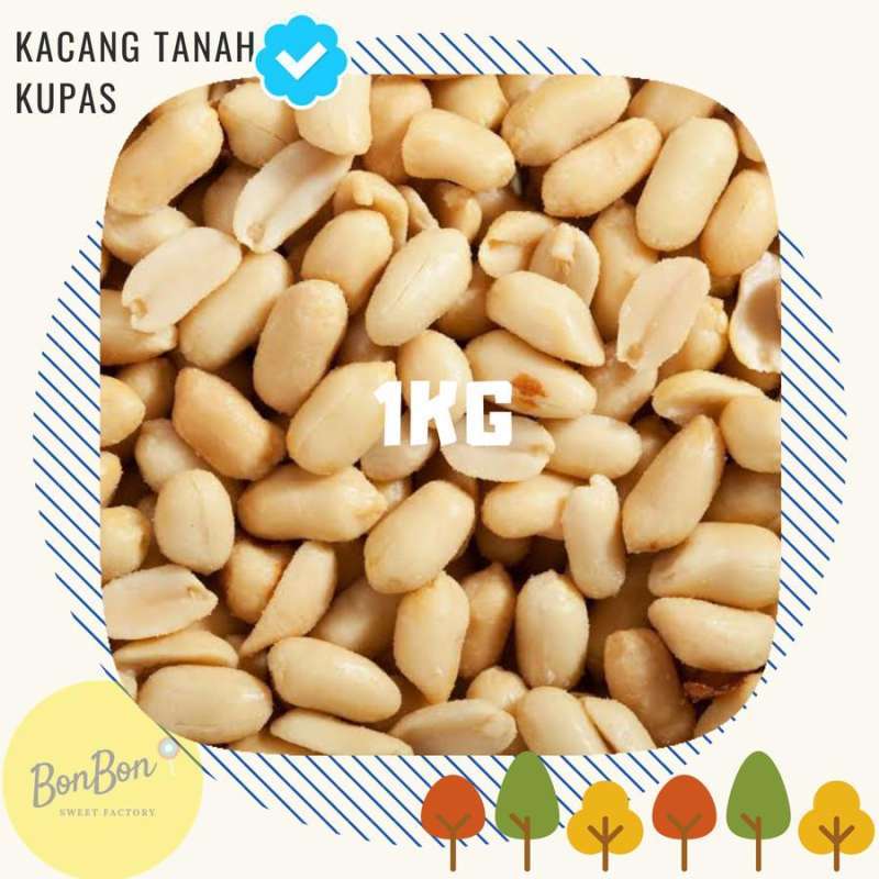 Jual Kacang Tanah Mentah 1kg / Kacang Tanah Kupas Ukuran Super Besar Di ...