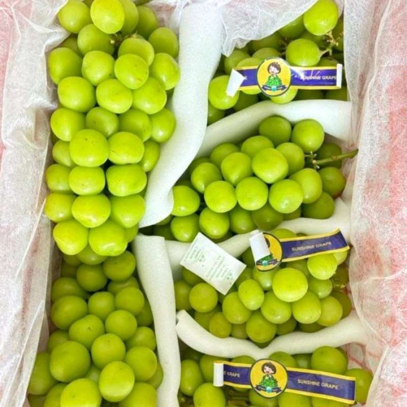 Anggur Muscat 1 Kg Gratis Ongkir 🔥 Harga Murah Mei 2026