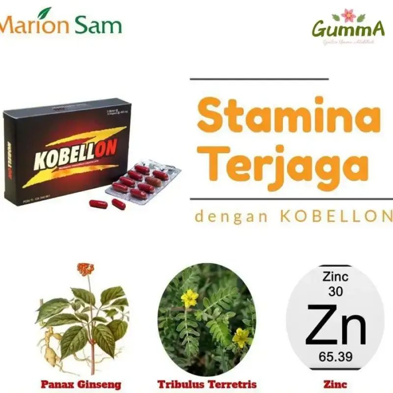 Promo Penambah Stamina Herbal Kobellon Kapsul 20 Diskon 23% Di Seller ...