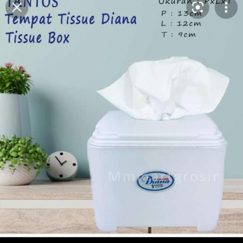Jual Tempat Tissue Kecil Putih Kotak Tisu Box Tissue Plastik Segi ...
