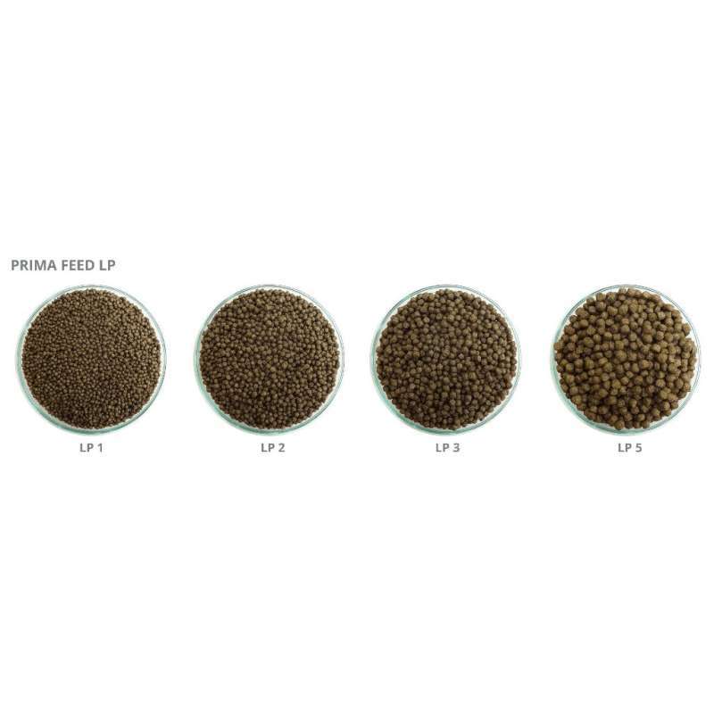 Jual Repack 1 Kg Prima Feed Lp Pakan Lele Premium Grade Pf Nila Gurame ...