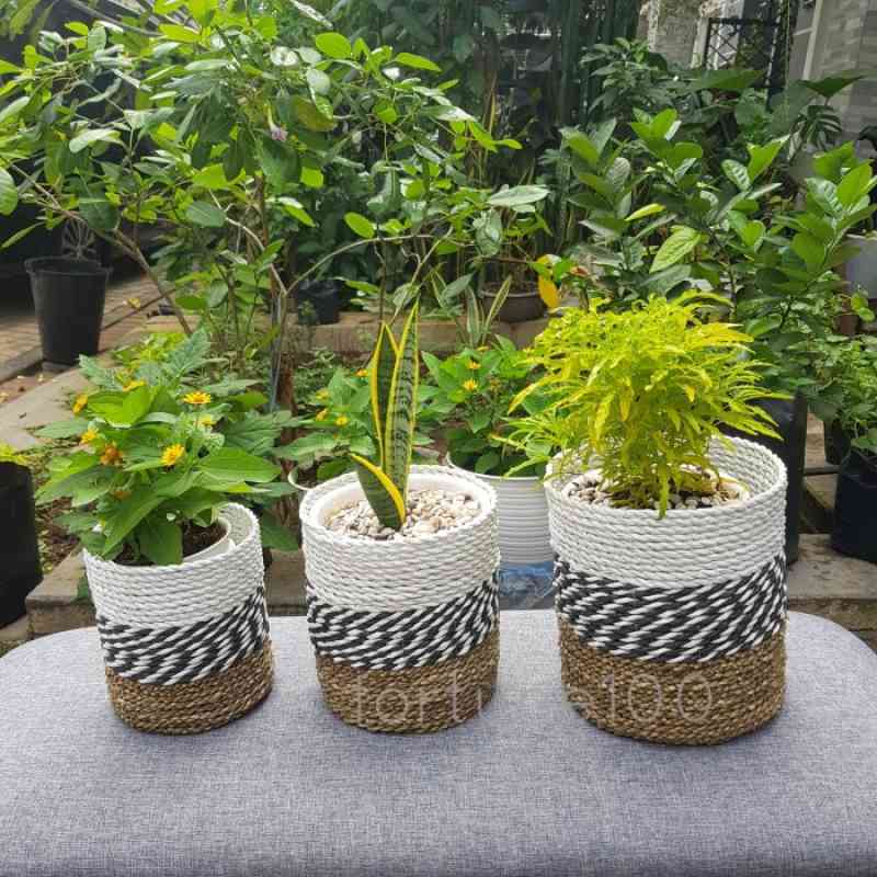 Promo Cover Pot Tanaman / Keranjang Anyaman Seagrass / Basket Anyam A07 ...