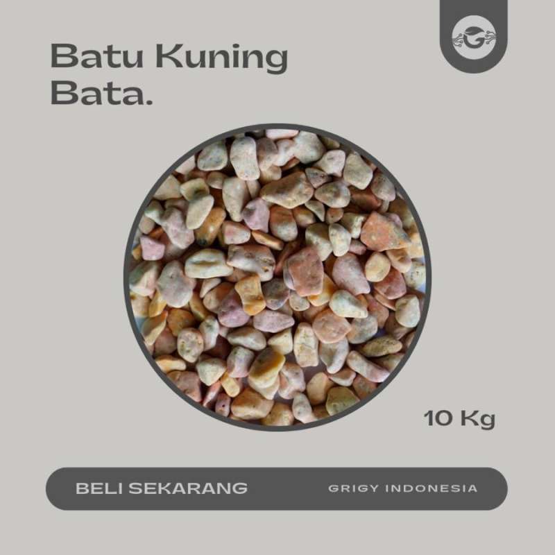 Jual BATU KORAL TAMAN / BATU TAMAN / BATU KUNING BATA 10 KG di Seller ...