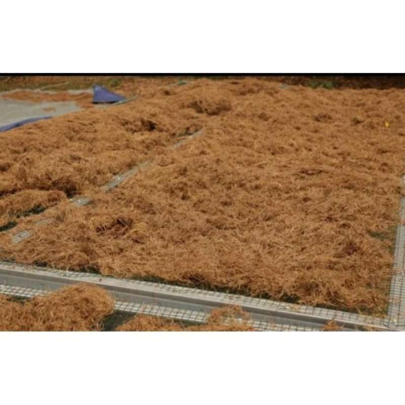 Promo Serat Tandan Kosong Kelapa Sawit Panjang Diskon 23% Di Seller ...