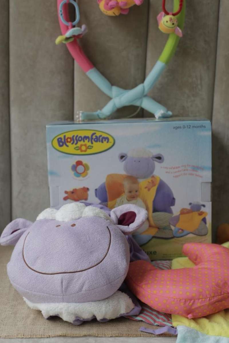 Promo ELC Farm Blossom Sit Me Up Playmat - Cosy Deluxe - 3 In 1 Cosy ...