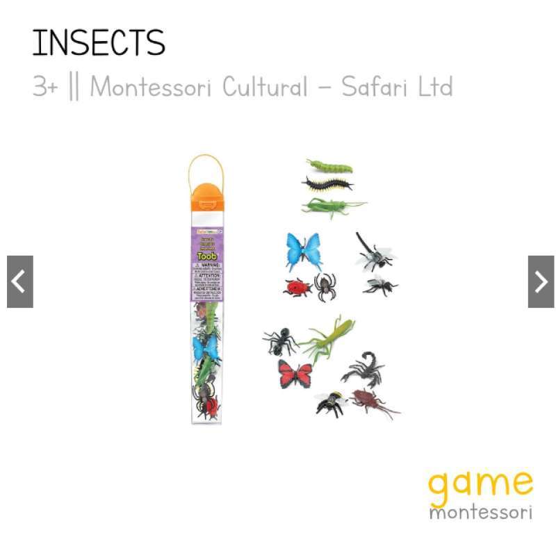 Jual Safari Ltd Insects With Cards Di Seller Game Montessori Official ...