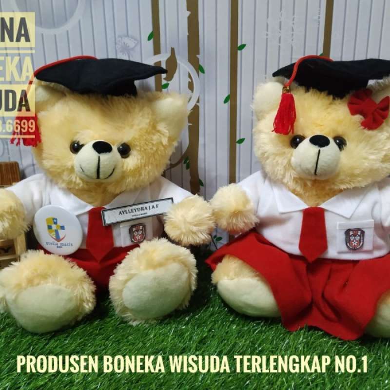 Jual (dijamin Bagus) Boneka Wisuda Sekolah Sd Lucu Dan Imut Ready Stock ...