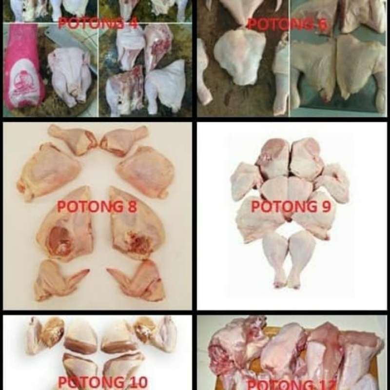 Jual Ayam Broiler Karkas Baby Chicken 0.4 - 0.5 / 400 - 500 / 04 - 05 ...