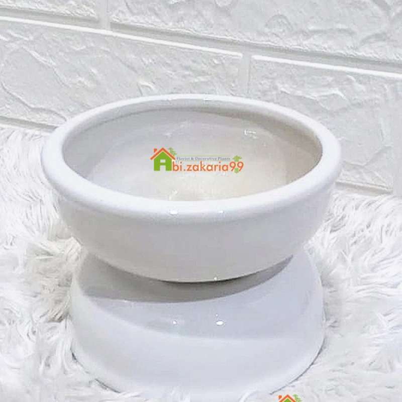 Jual Pot/Vas keramik ceper Bambu hoki/ Bambu rejeki/ Lucky Bamboo di ...