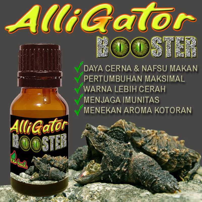 Jual Kura Kura Cst Dan Ast Termurah - Harga Grosir Terupdate Hari Ini ...