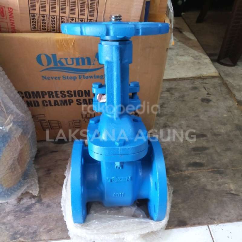 Jual Tozen - Gate Valve Pn16 3 Inch | Gate Valve Cast Iron Rising Steam ...