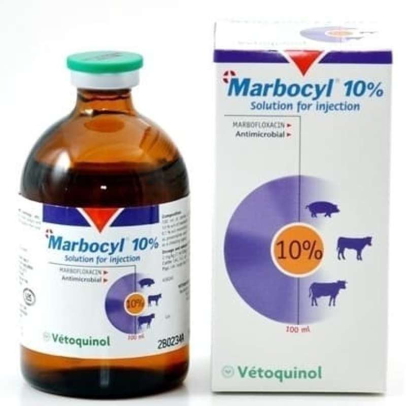 Promo Obat Pernafasan dan Mastitis Hewan - marbocyl injection 10% 100 ...