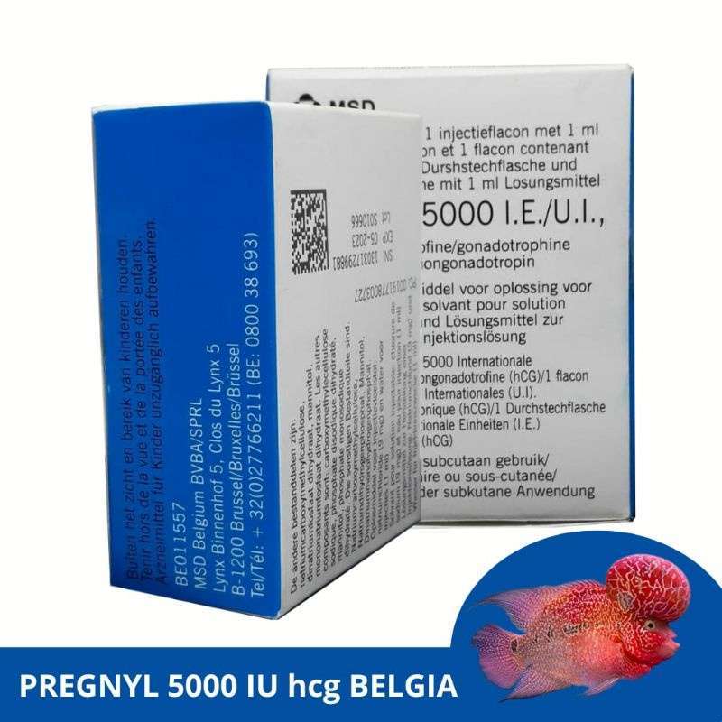 Promo Pregnyl 5000 IU HCG hormon ikan Diskon 10% di Seller AJB Online ...