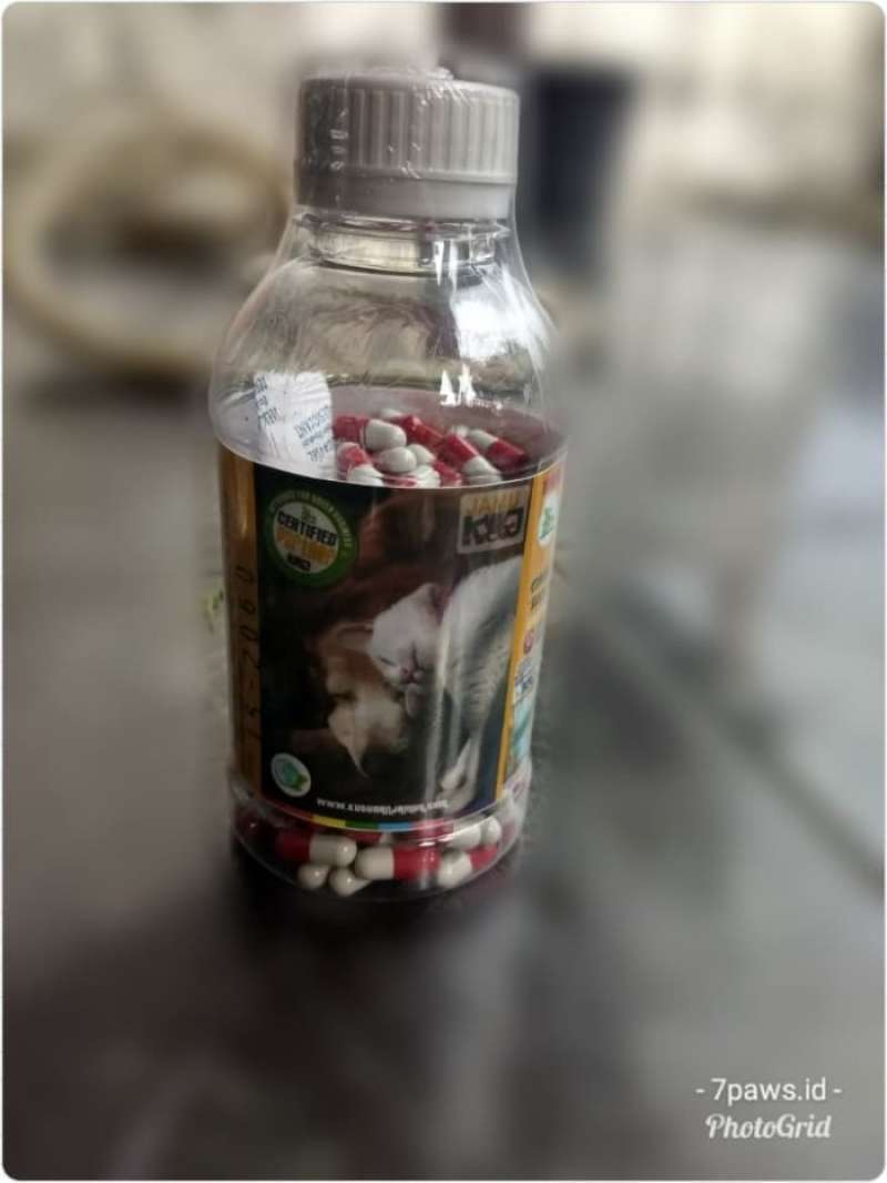 Promo Jamu Knj Kapsul Kemasan Botol Isi 300 Kapsul. Diskon 33% Di ...