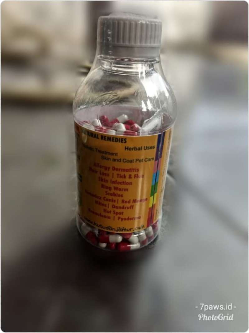 Promo Jamu Knj Kapsul Kemasan Botol Isi 300 Kapsul. Diskon 33% Di ...