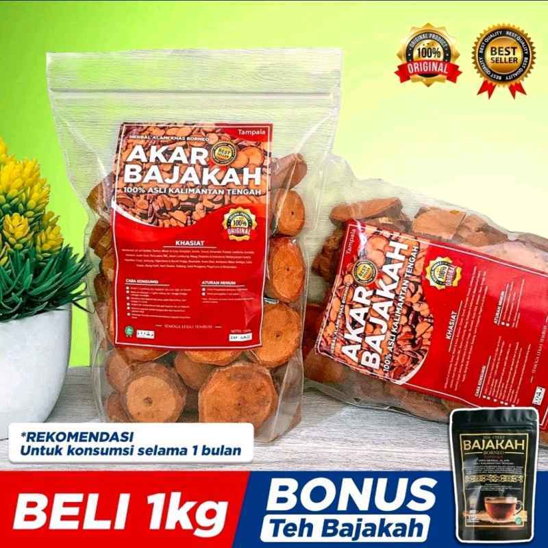 Promo Akar Kayu Bajakah Merah Kualitas Super 1 Kg Gratis Teh Diskon 21% ...